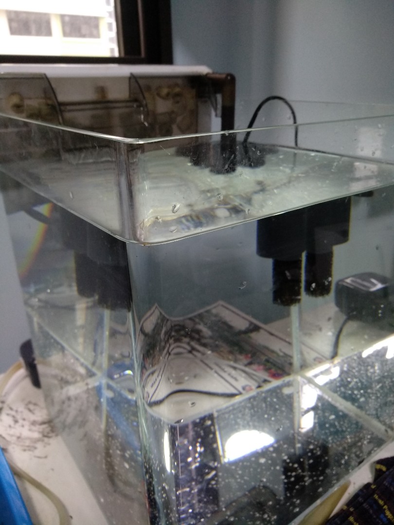 1 feet cube tank with Gex hob filter, Pet Supplies, Homes & Other Pet ...