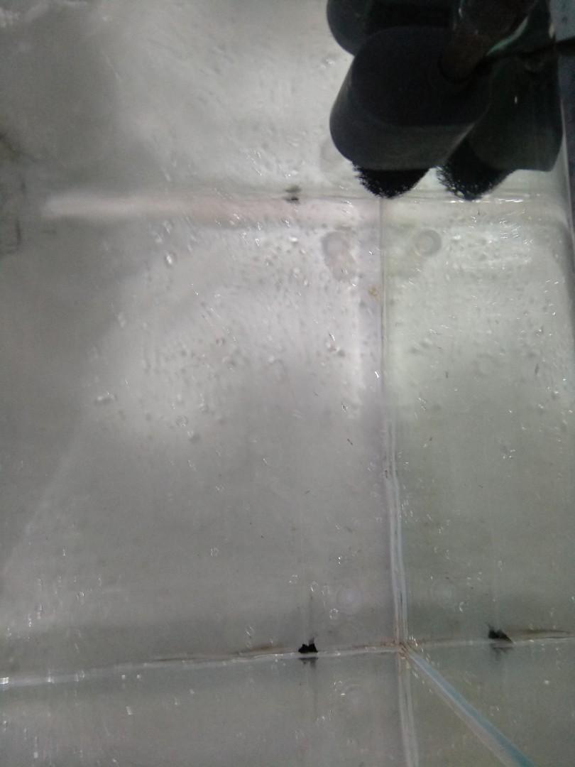 1 feet cube tank with Gex hob filter, Pet Supplies, Homes & Other Pet ...