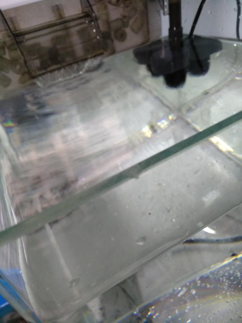 1 feet cube tank with Gex hob filter, Pet Supplies, Homes & Other Pet ...