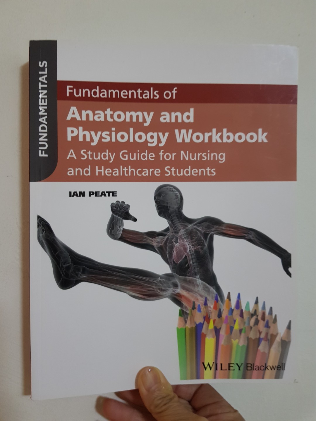 Anatomy and Physiology Workbook, Hobbies & Toys, Books & Magazines ...