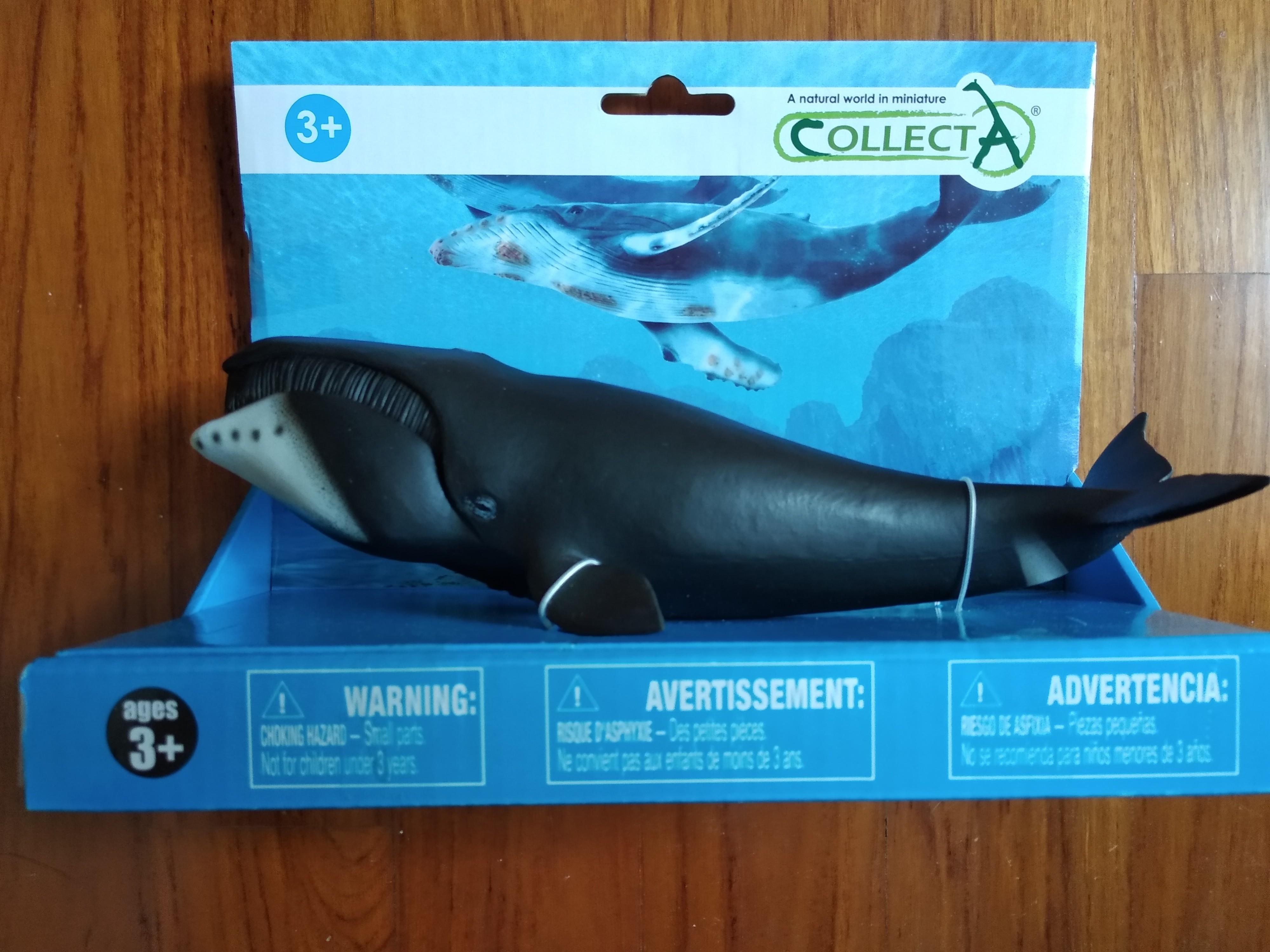 Octonauts Whale Shark Toy | Wow Blog