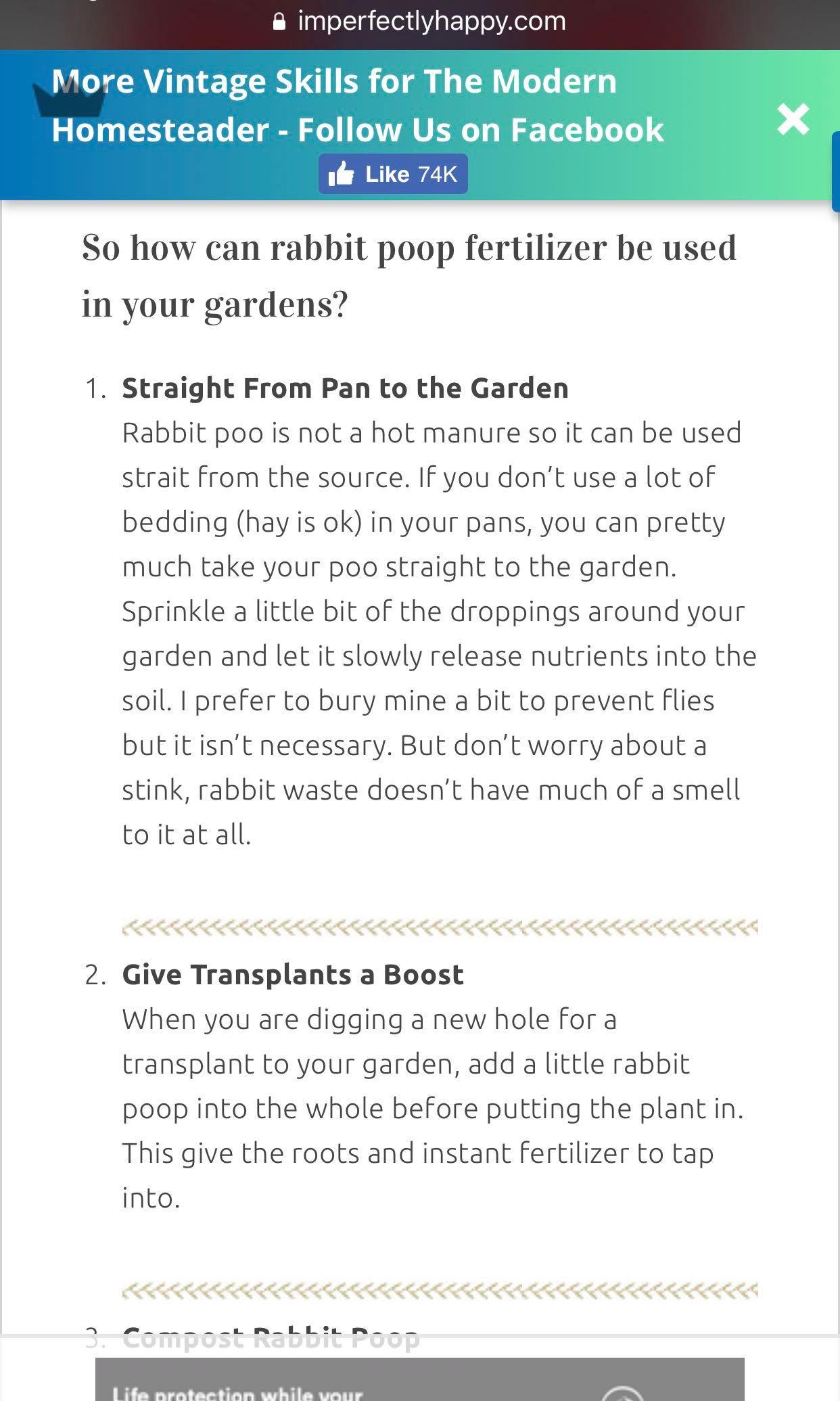 rabbit-poop-fertiliser-furniture-home-living-gardening-garden-soil