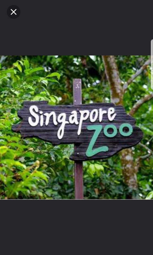 Singapore Zoo Ticket Tickets Vouchers Event Tickets On Carousell singapore-zoo-ticket-tickets-vouchers-event-tickets-on-carousell