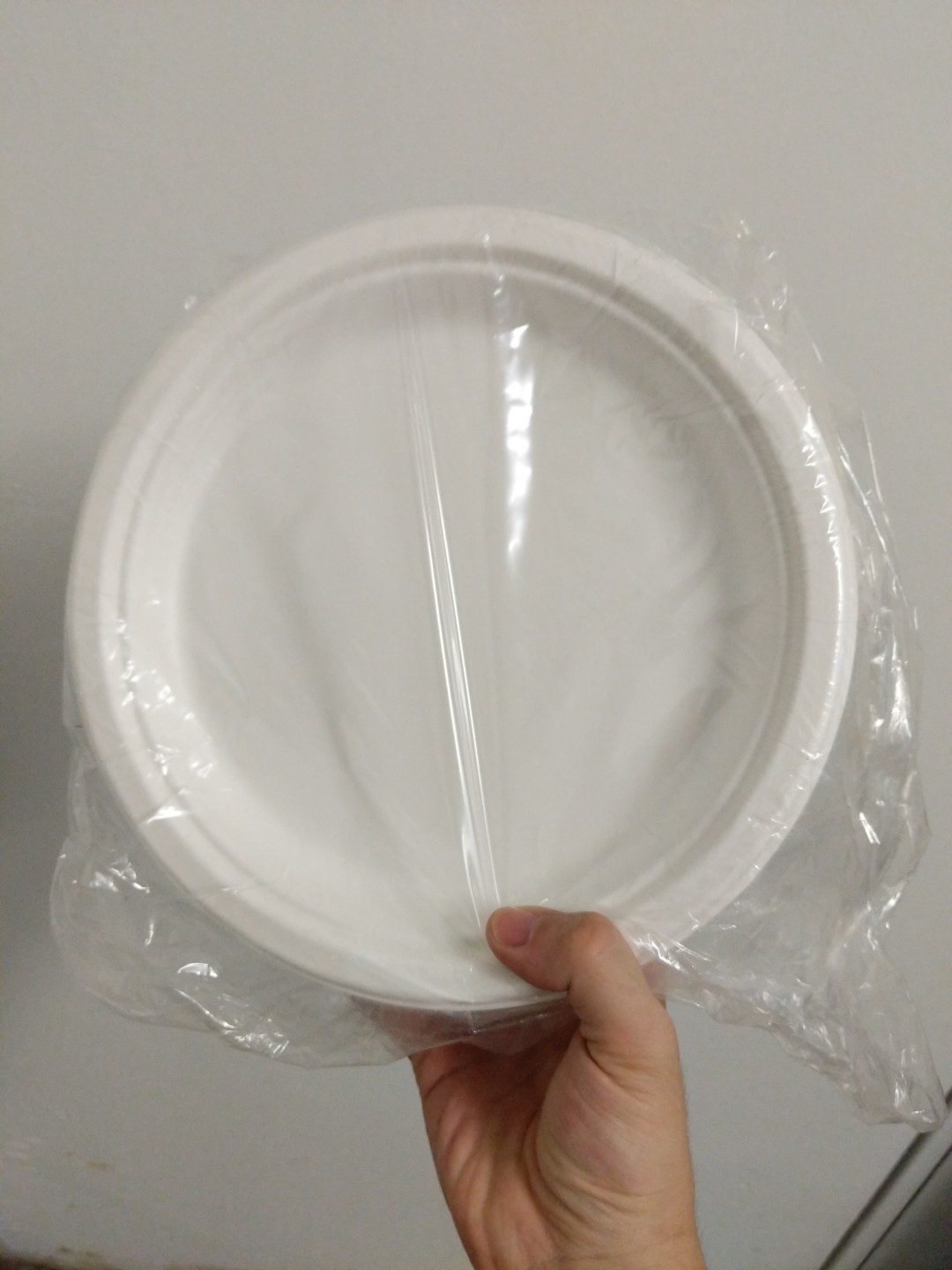 Paper plate 500pc, Furniture & Home Living, Kitchenware & Tableware ...