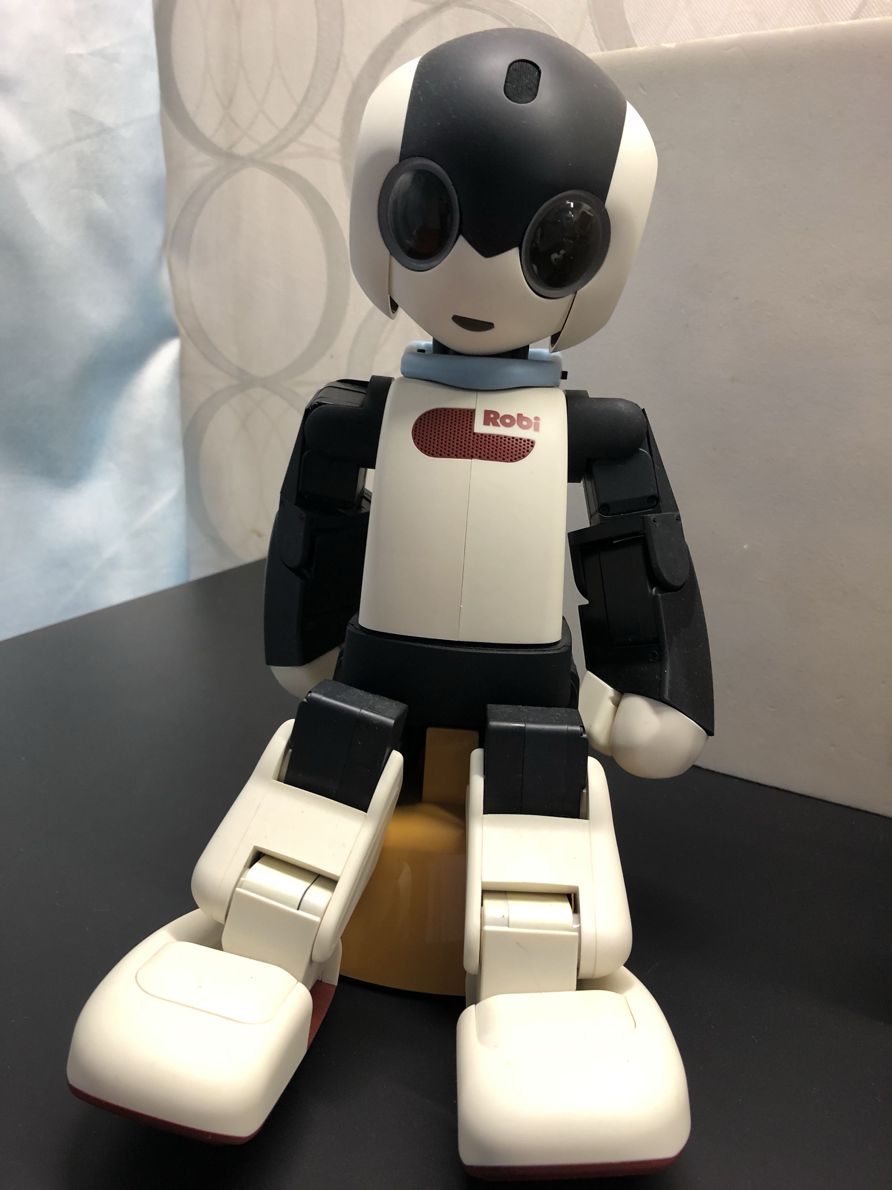 Robi Robot Fully Assembled, Health & Nutrition, Assistive ...