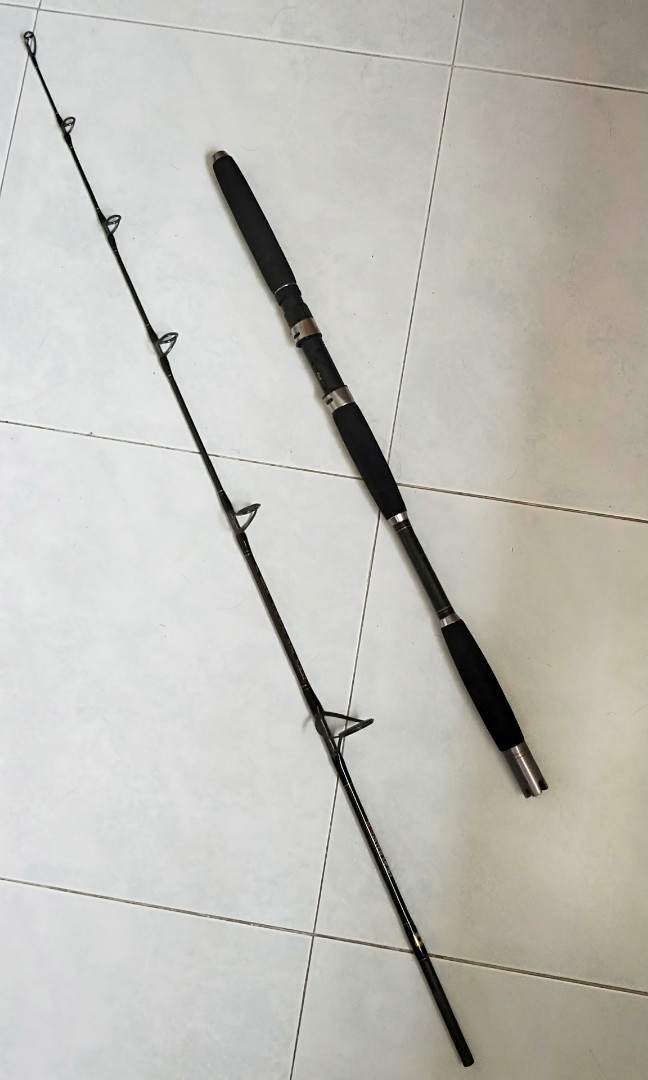 Daiwa Monster Mesh spinning rod, Sports Equipment, Fishing on Carousell