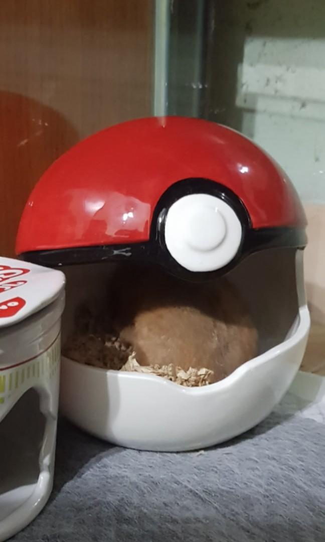 Pokeball for hamster, Pet Supplies, Homes & Other Pet Accessories on ...