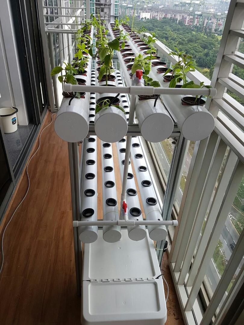 Hydroponics, Furniture & Home Living, Gardening, Garden Soil ...