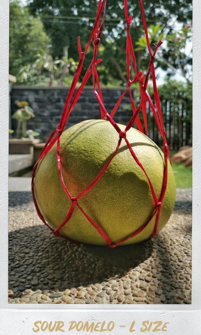 PREORDER Authentic Limau Bali Tambun Pomelo Fruit CNY gift #cnyga, Food & Drinks, Spice ...