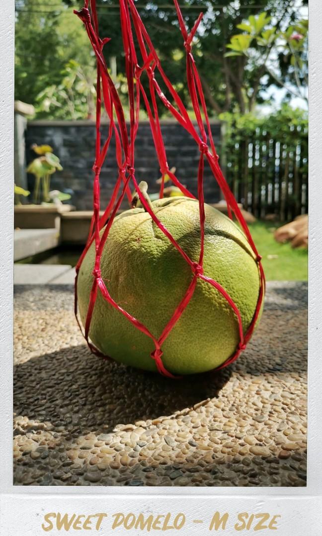 PREORDER Authentic Limau Bali Tambun Pomelo Fruit CNY gift #cnyga, Food ...