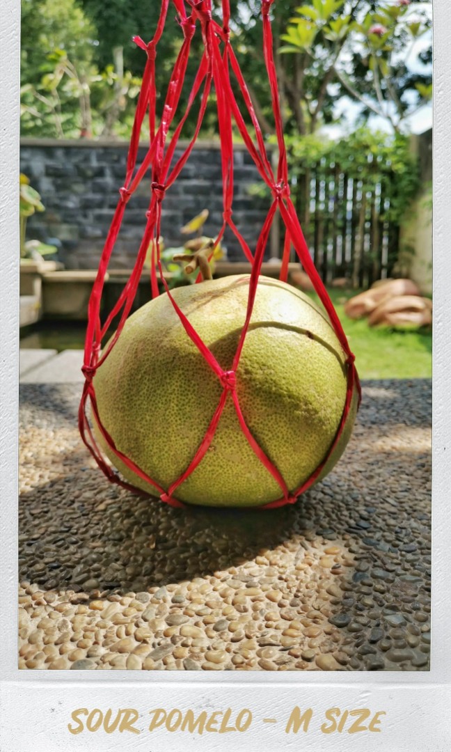 PREORDER Authentic Limau Bali Tambun Pomelo Fruit CNY gift #cnyga, Food ...