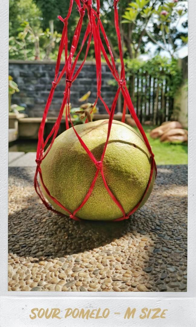 PREORDER Authentic Limau Bali Tambun Pomelo Fruit CNY gift #cnyga, Food & Drinks, Spice ...