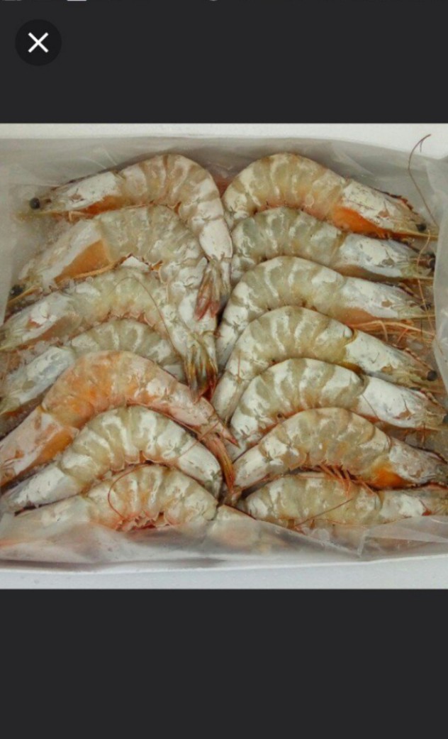 Frozen AngKa Prawn, Food & Drinks, Chilled & Frozen Food on Carousell