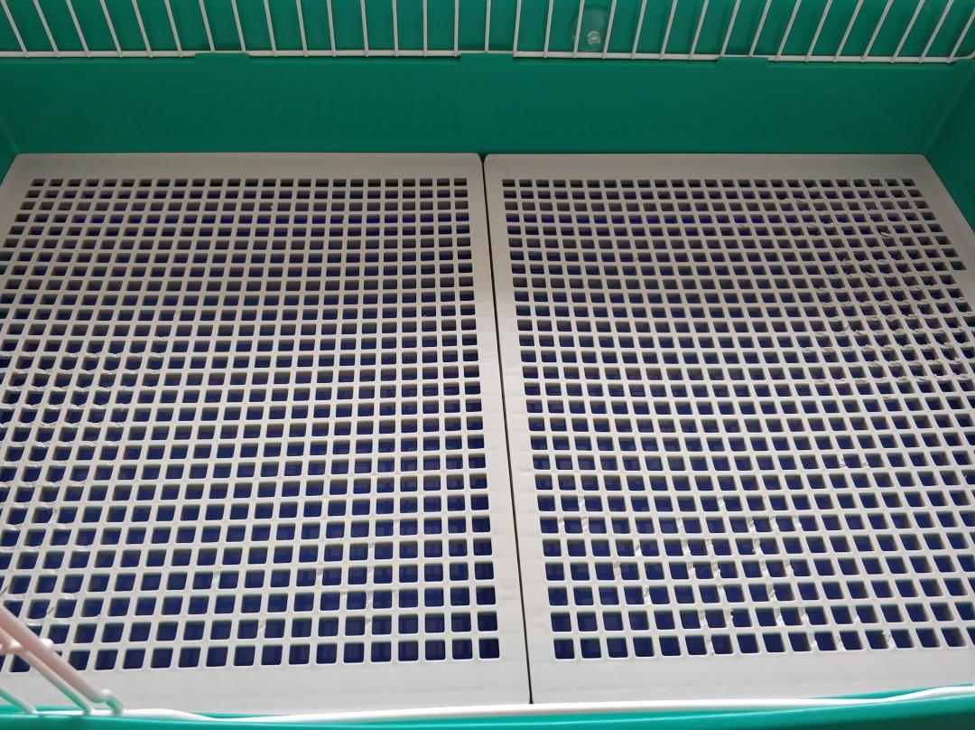 Rabbit cage - IRIS RU-800, Pet Supplies, Homes & Other Pet Accessories ...