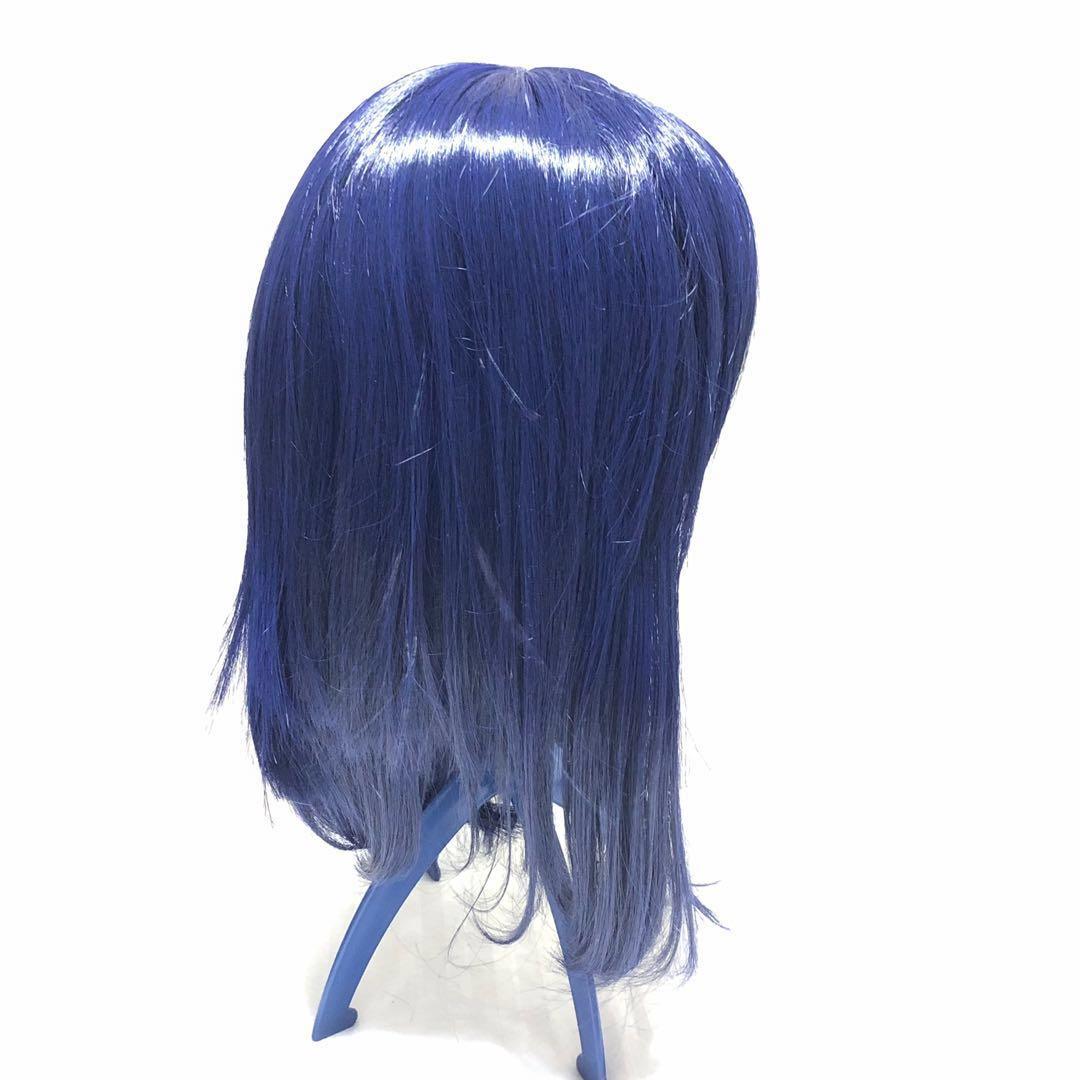 Updated* Dark Blue Wig Fantasy Sheep, Hobbies & Toys, Memorabilia ...