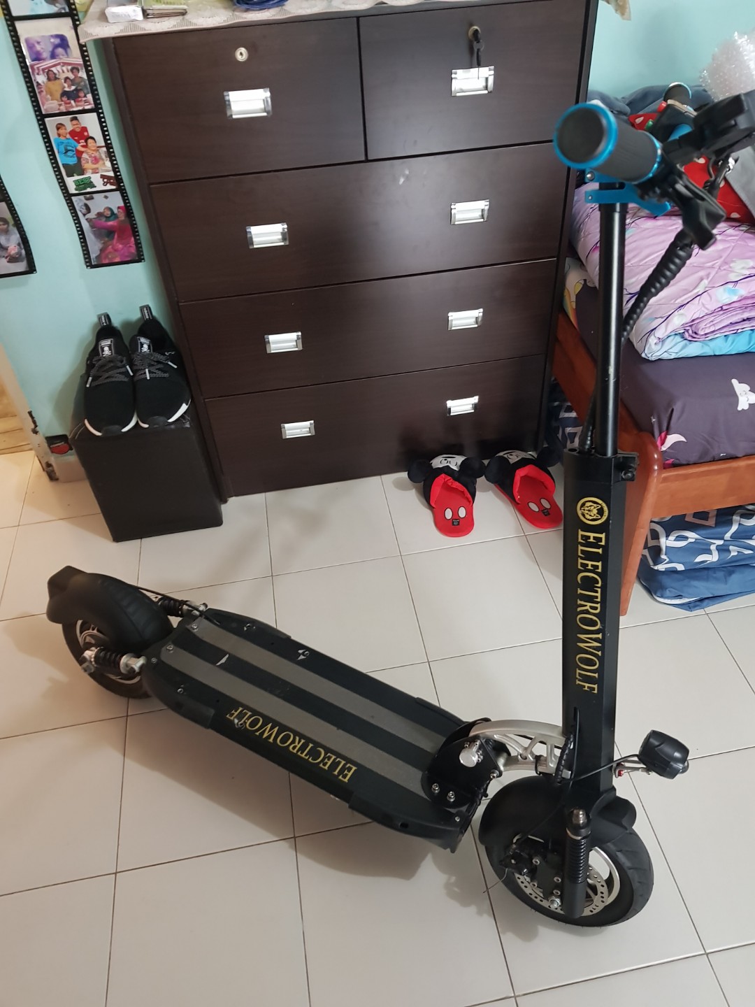 Electro wolf (electric scooter), Sports Equipment, PMDs, E-Scooters & E ...