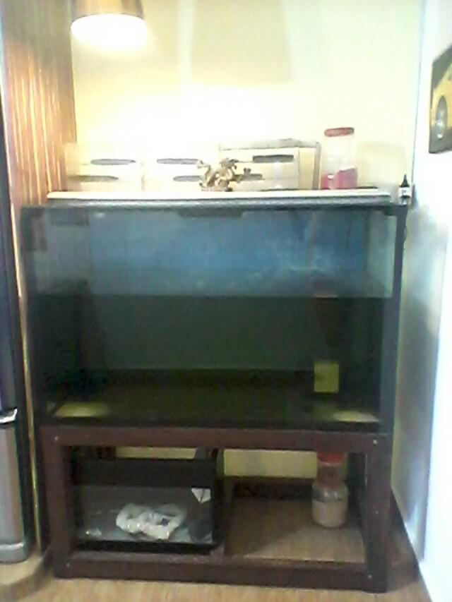4 ft fish tank full complete set, Pet Supplies, Homes & Other Pet ...