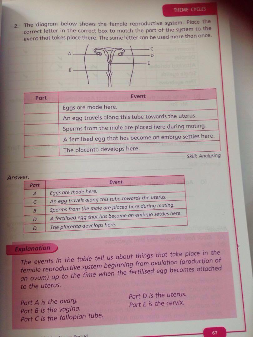 BRAND NEW | Everything you need to know about Science | Upper block ...