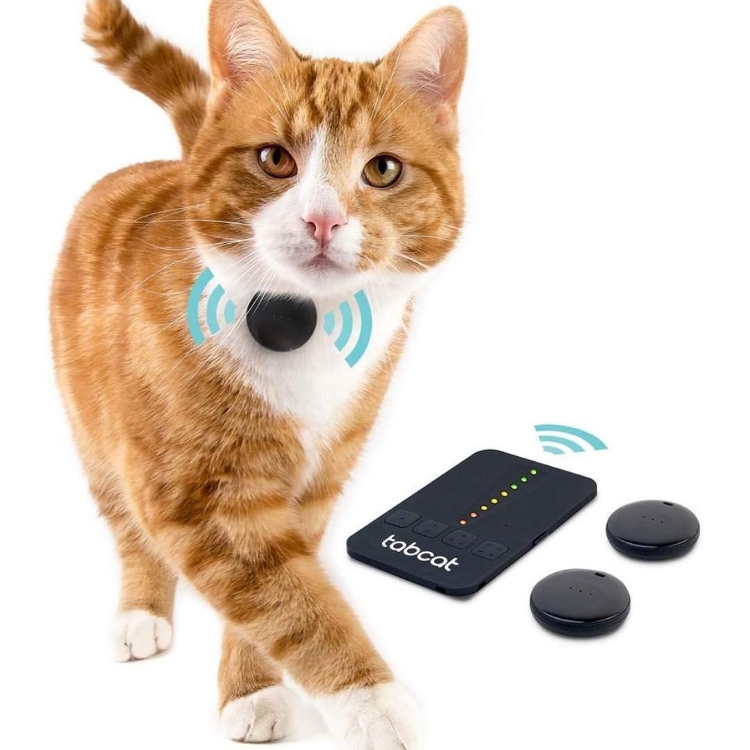 (J185) Loc8tor Tabcat Wireless Tracker, Mobile Phones & Gadgets ...