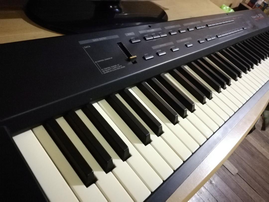 Roland A-33 76-Key Semi Weighted MIDI Controller, Hobbies & Toys, Music ...