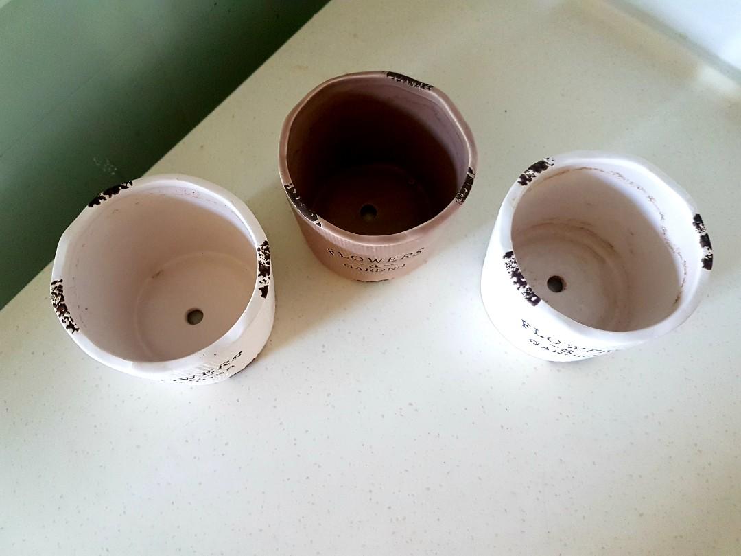 3 daiso pots, Furniture & Home Living, Gardening, Pots & Planters on ...