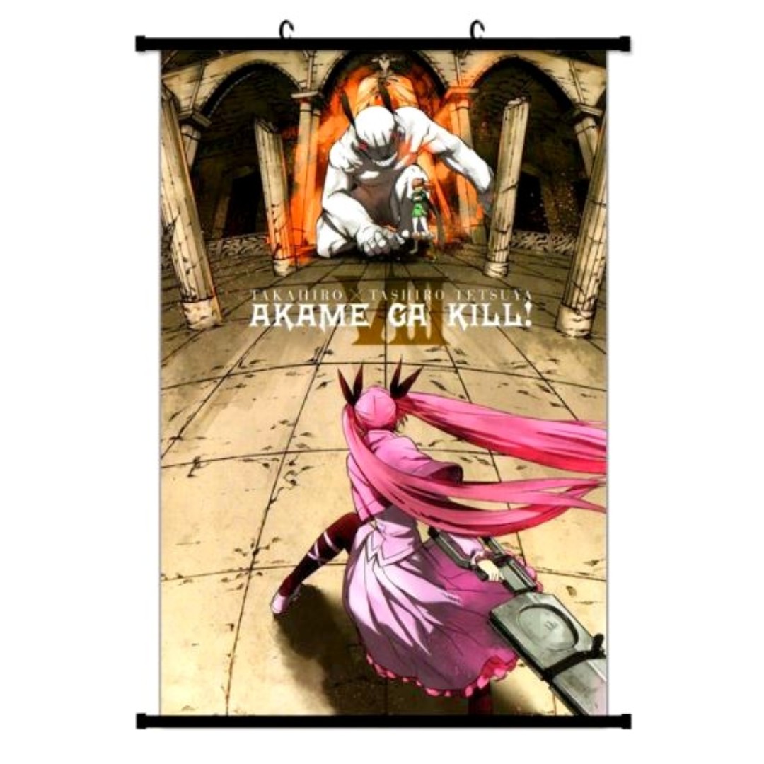 Anime Akame Ga Kill Large Poster Wallscroll Decor 60x90CM, Furniture ...