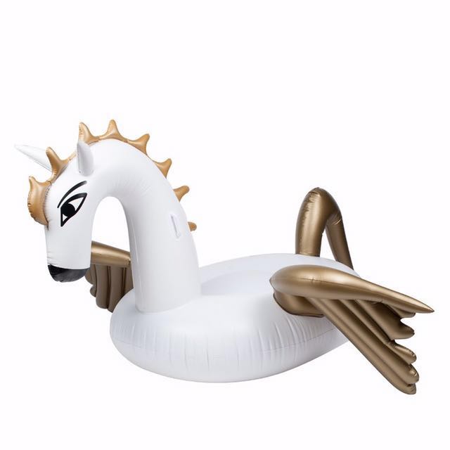 Gold Pegasus Float Pool Party, Sports Equipment, Sports & Games ...