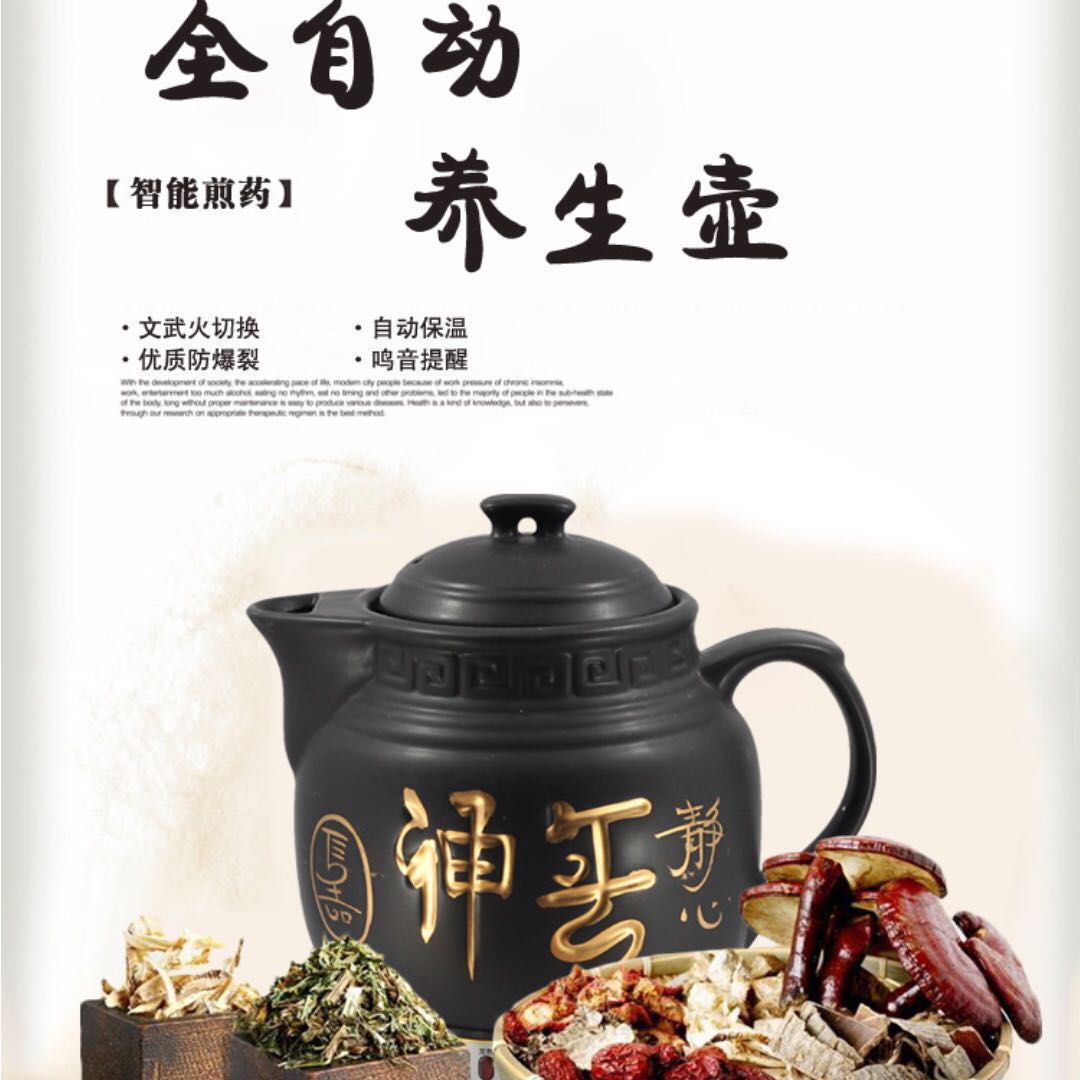 Automated Traditional Chinese Medicine (TCM) Electric Pot (5L ...