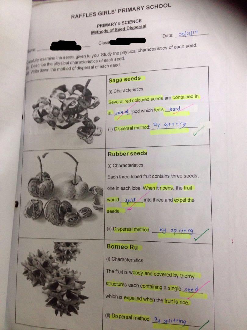 RGPS P5 Science File, Hobbies & Toys, Books & Magazines, Assessment ...