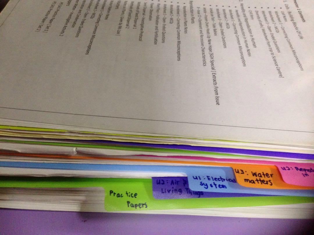 RGPS P5 Science File, Hobbies & Toys, Books & Magazines, Assessment ...