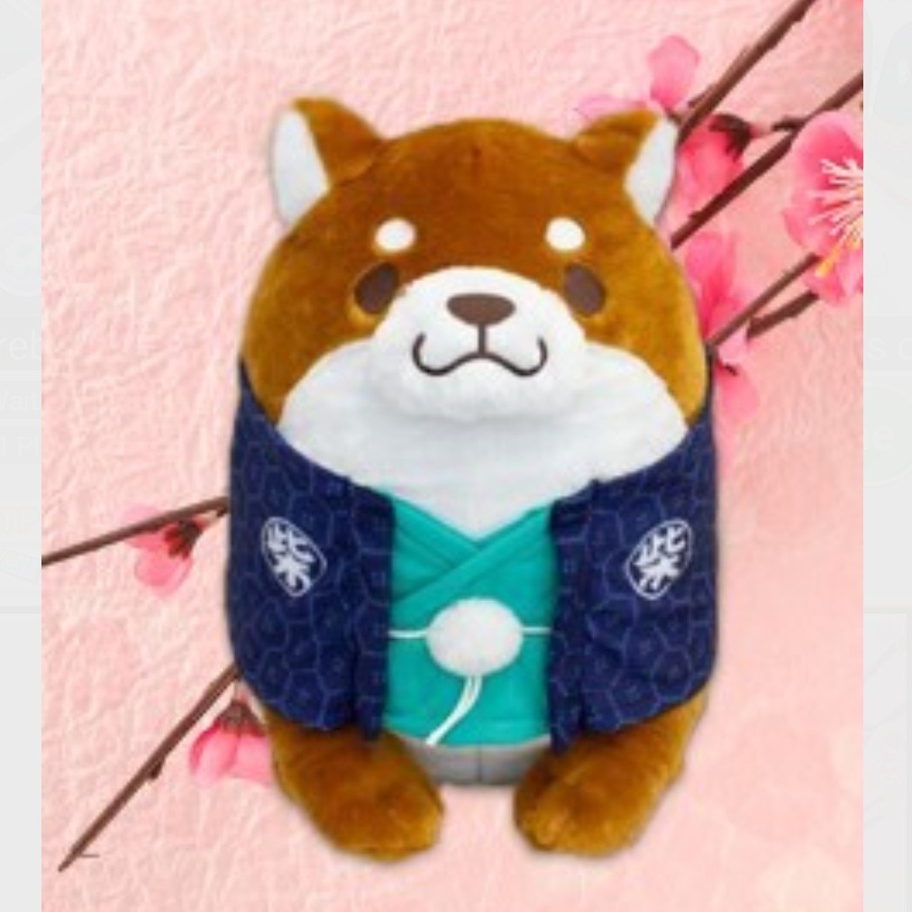 Shiba Inu Plush toy, Hobbies & Toys, Toys & Games on Carousell