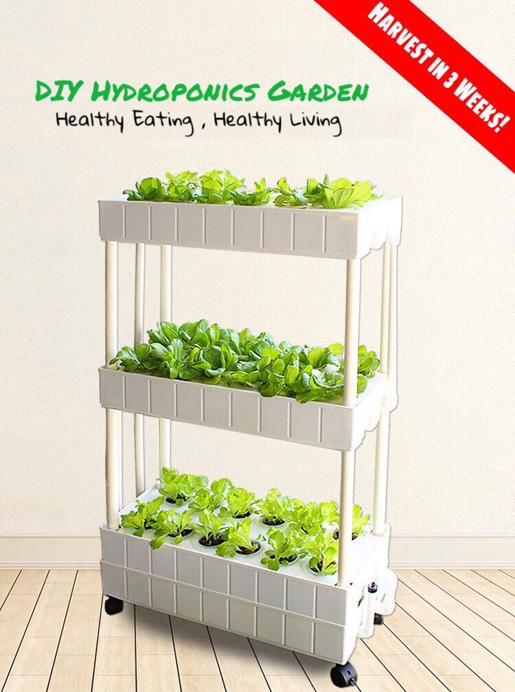 Diy Indoor Hydroponic System
