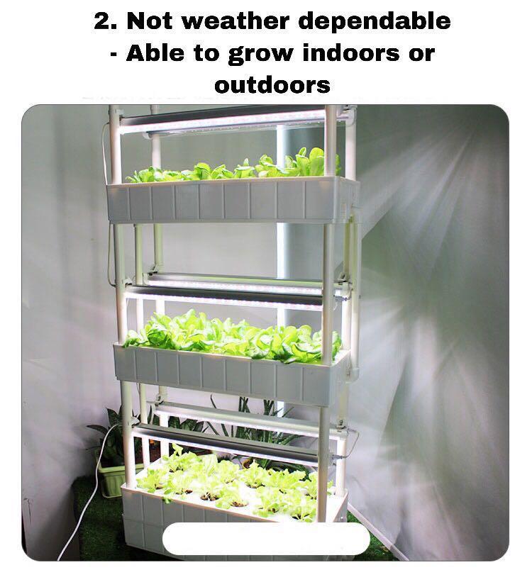 EZ GROW multi tiered indoor DIY home hydroponics set, Furniture & Home ...