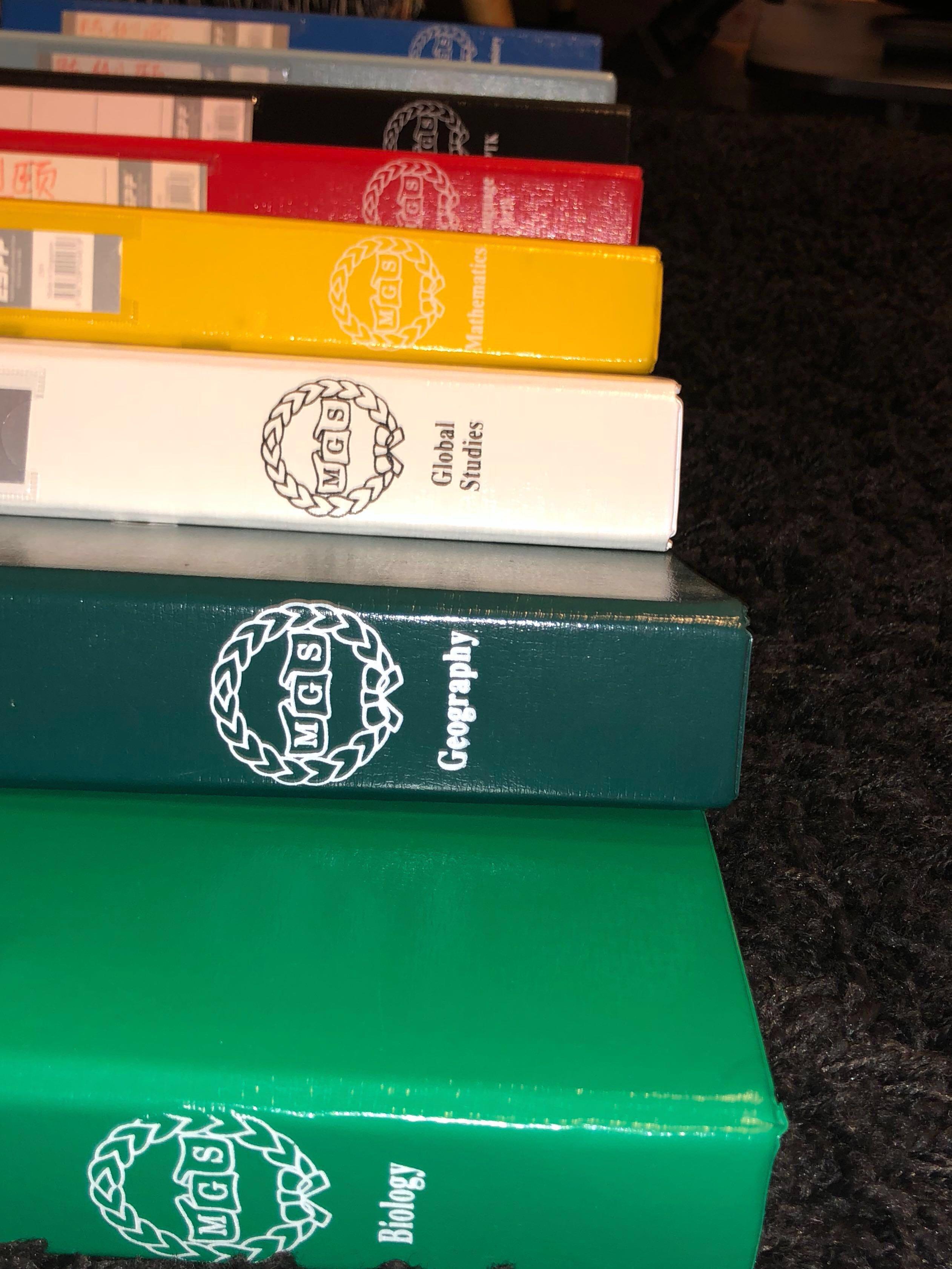 FREE DIVIDERS AND NAME LABELS//MGS SECONDARY FILES, Hobbies & Toys ...