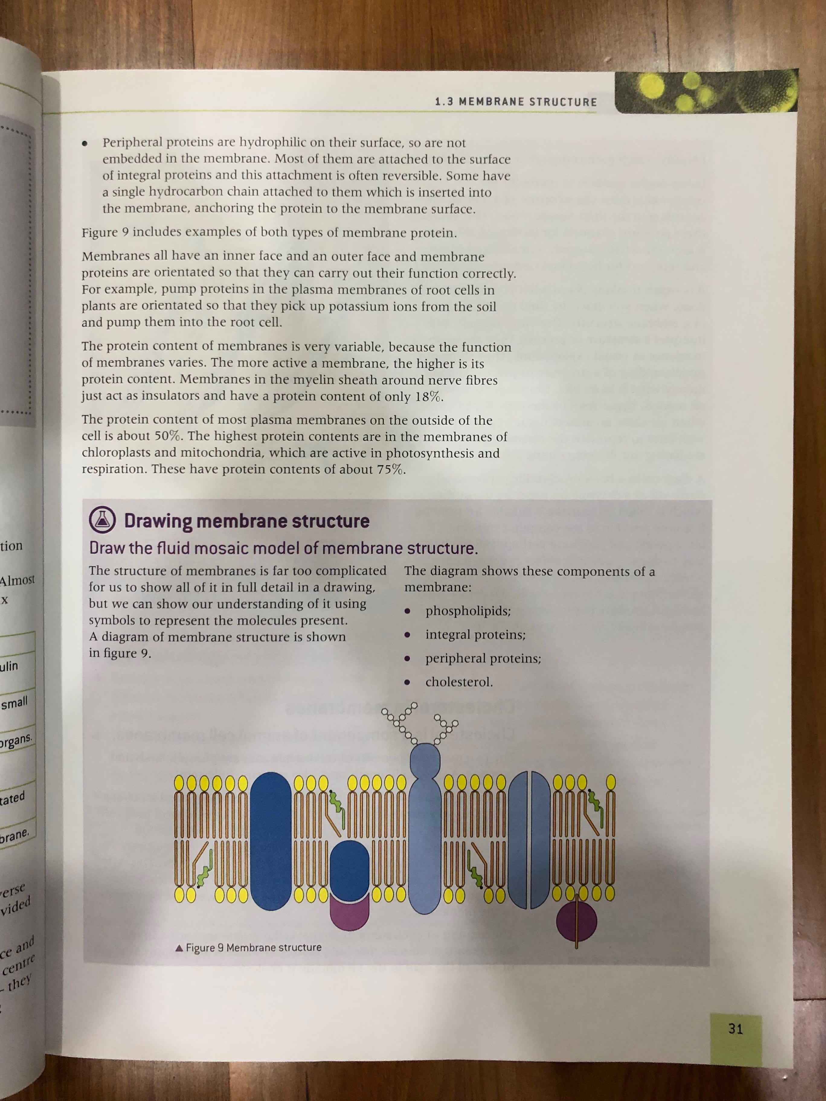 Oxford IB Biology Textbook 2014 Edition (For both HL & SL), Hobbies ...