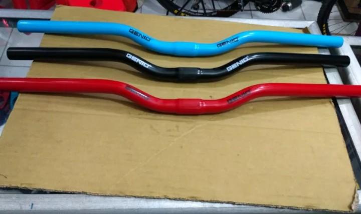 SETANG SEPEDA GENIO FIXIE, Olah Raga, Sepeda di Carousell