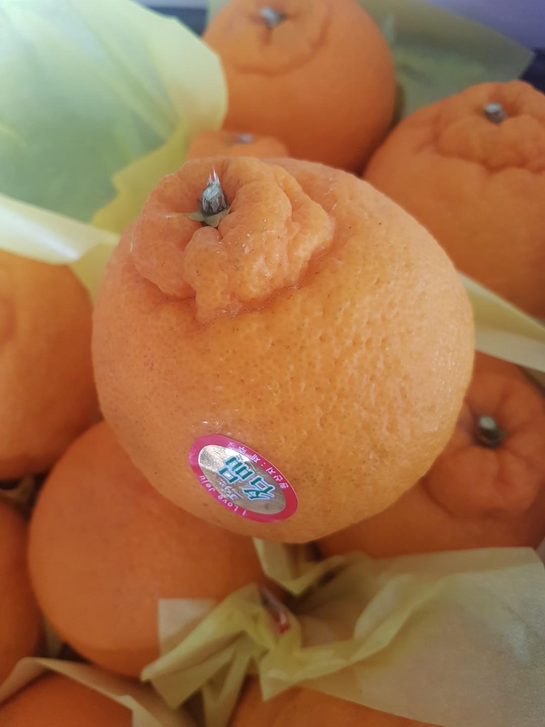 Jeju Hallabong (Korean Mandarin Oranges), Food & Drinks, Chilled ...