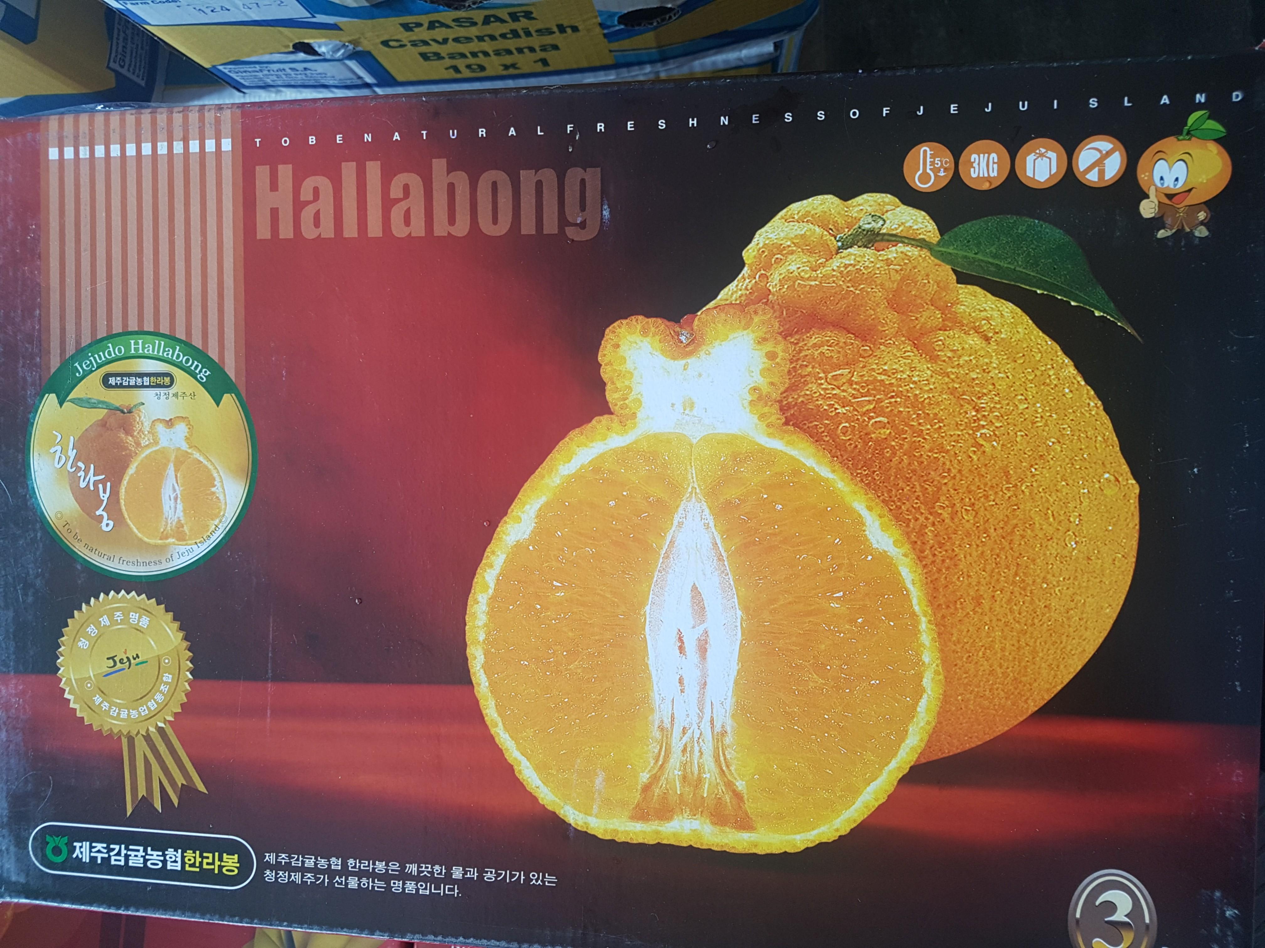 Jeju Hallabong (Korean Mandarin Oranges), Food & Drinks, Chilled ...