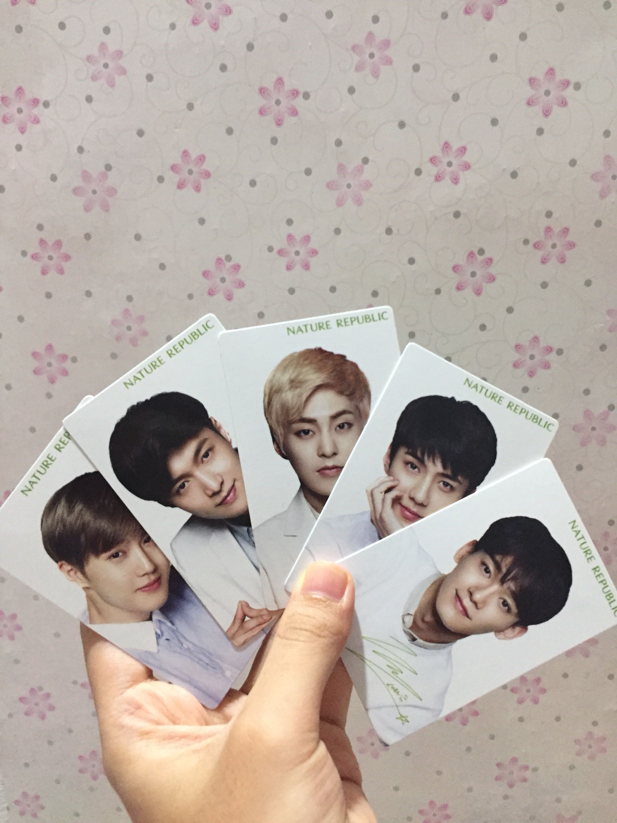 EXO Nature Republic standee + sticky notes + photocards, Hobbies & Toys ...