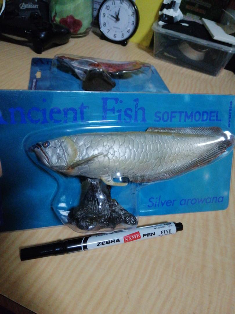 Arowana fish display midel, Hobbies & Toys, Toys & Games on Carousell