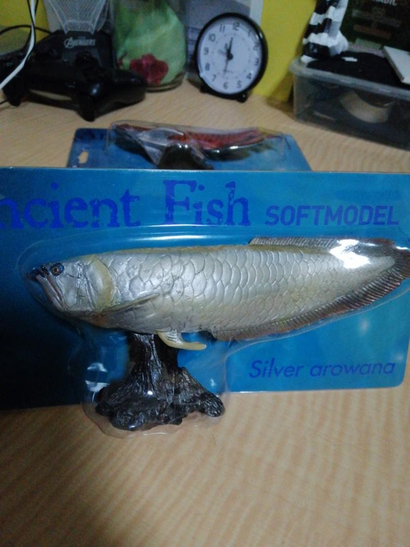 Arowana fish display midel, Hobbies & Toys, Toys & Games on Carousell