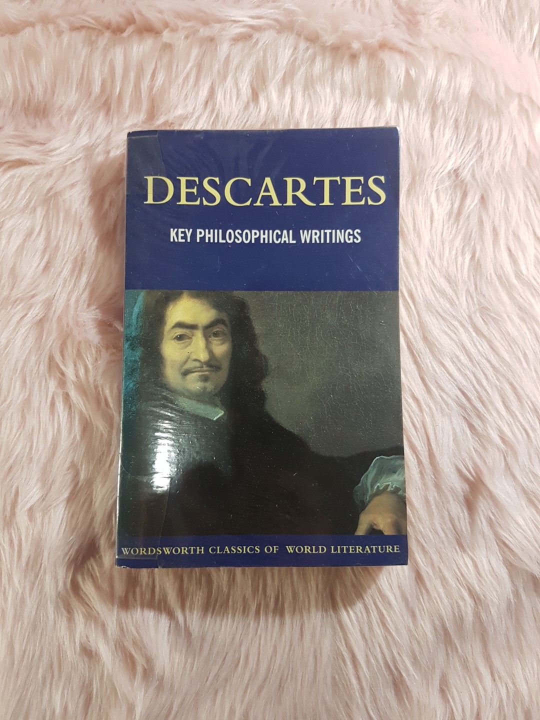 Descartes - Key Philosophical Writings, Hobbies & Toys, Books ...