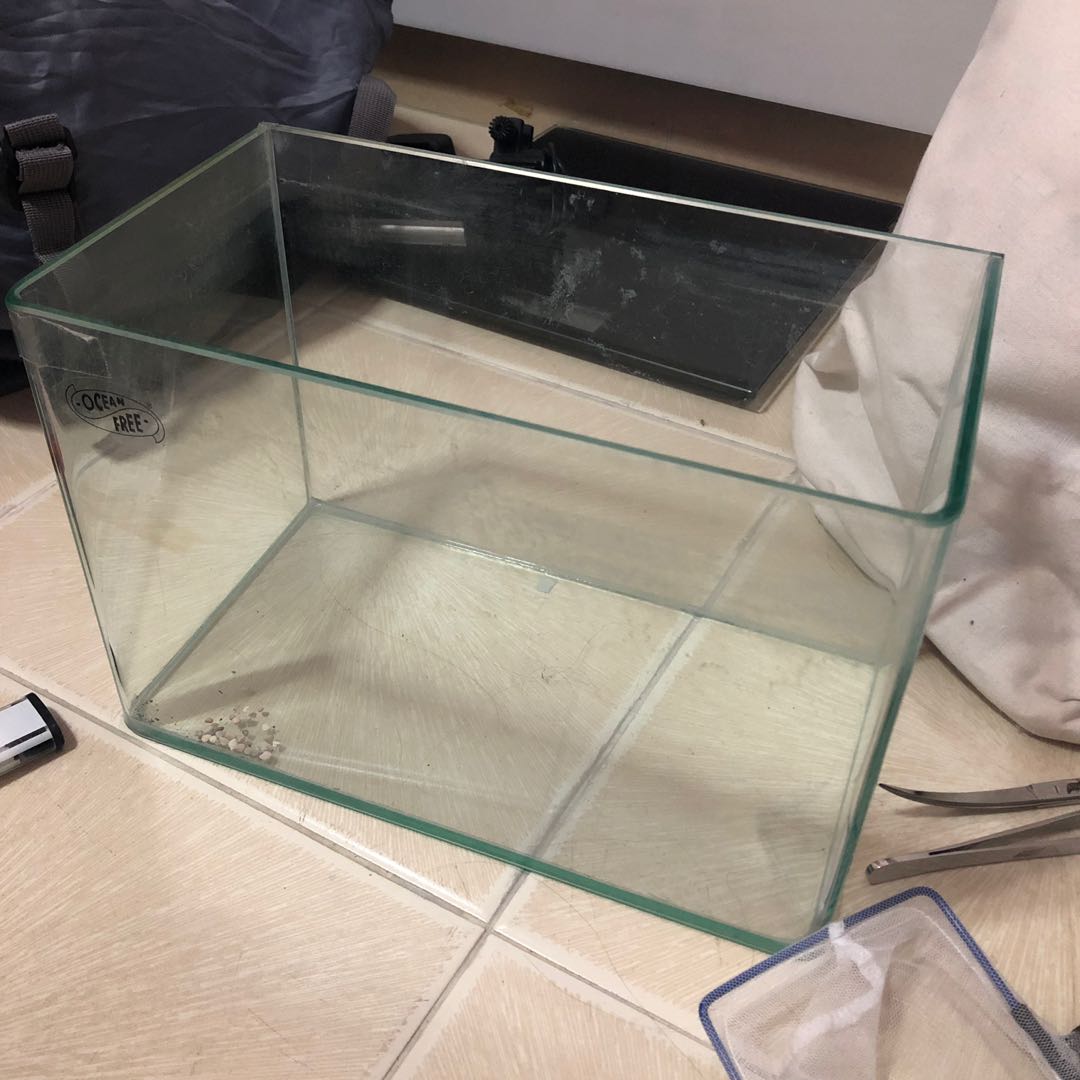 Ocean Free Fish Tank, Pet Supplies, Homes & Other Pet Accessories on ...