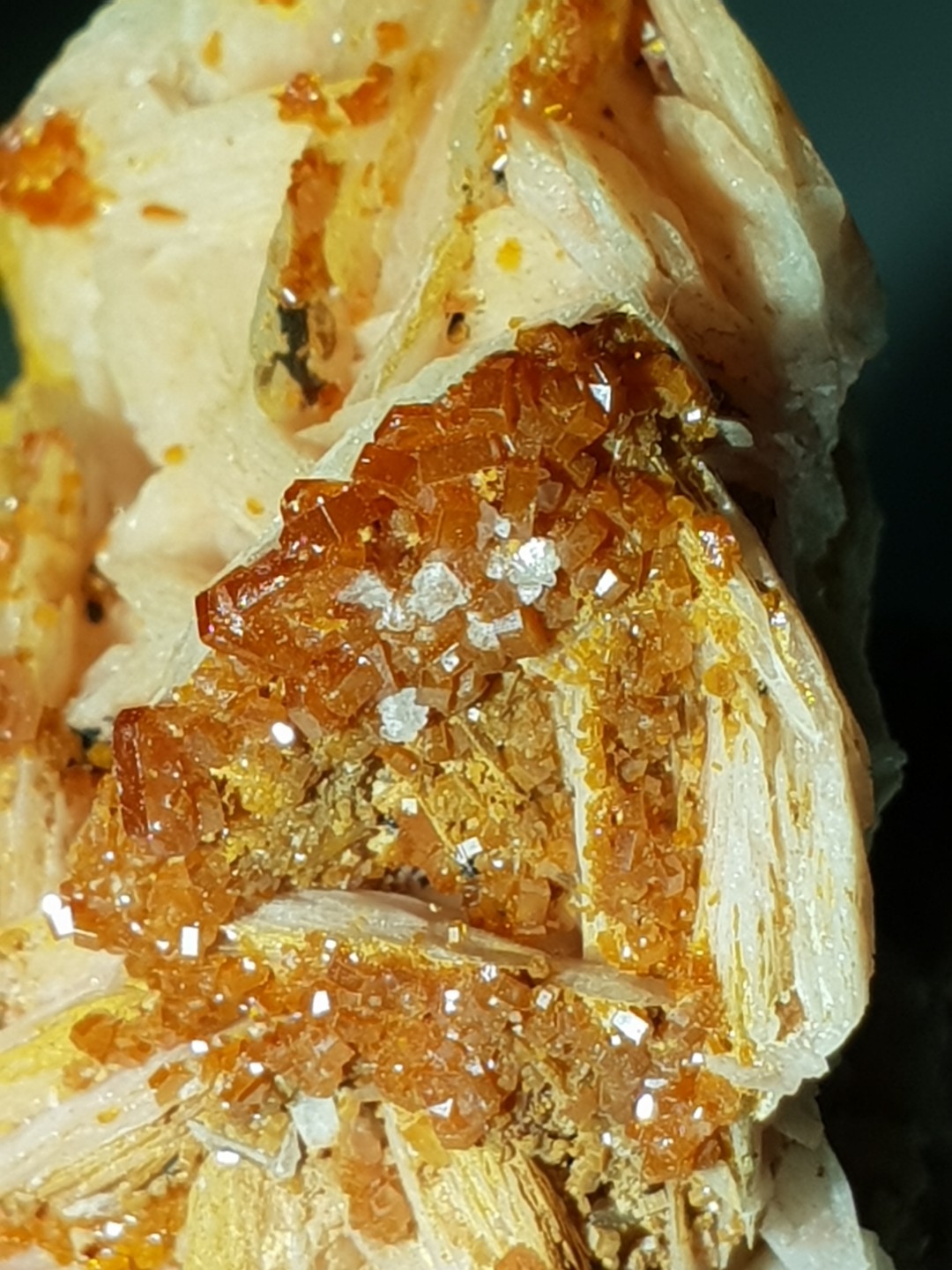 Vanadinite on Barite Blades Crystal Cluster from Morocco, Women's ...