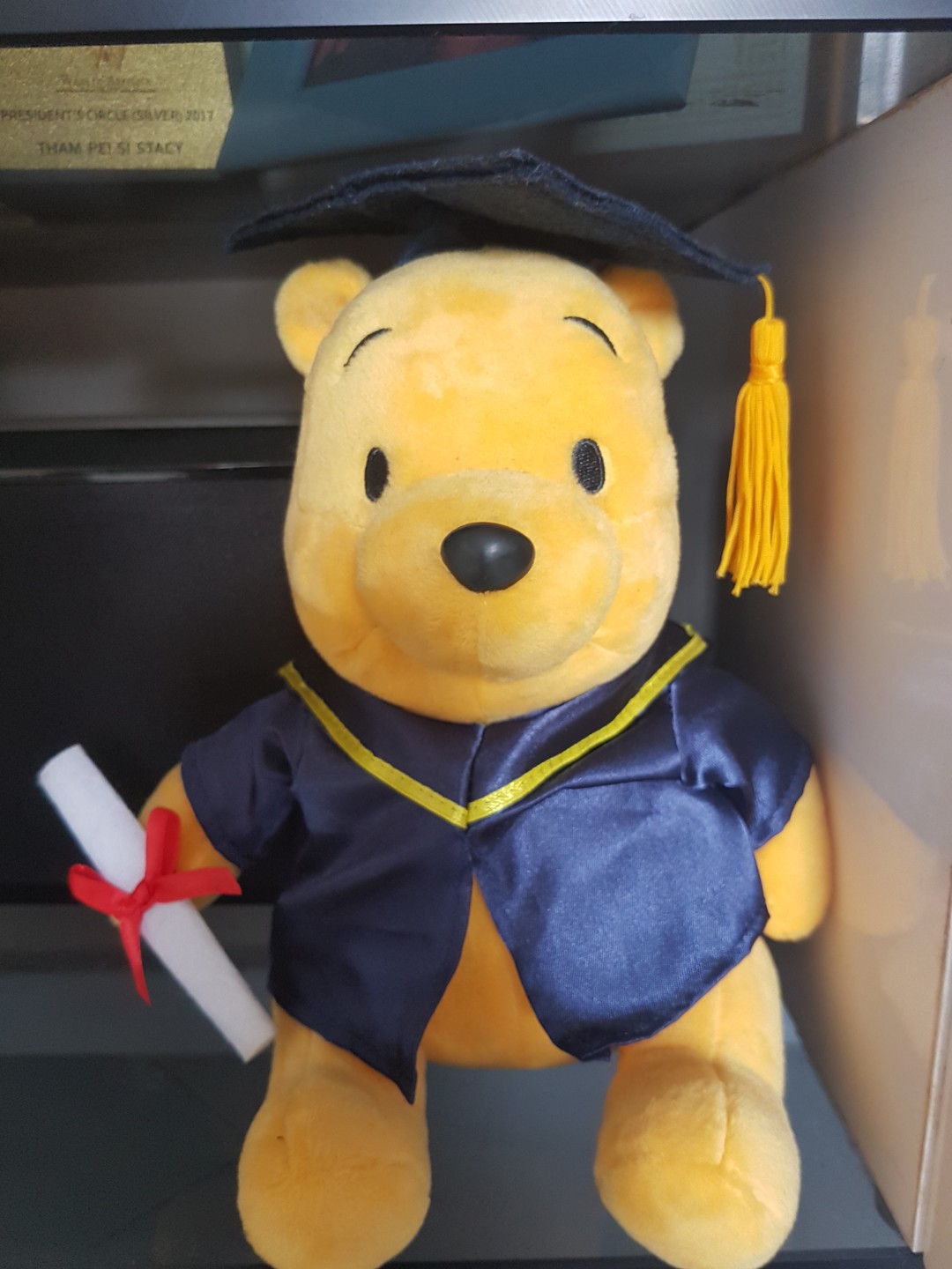 Graduation/Convocation Soft toy, Hobbies & Toys, Toys & Games on Carousell