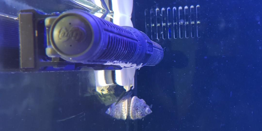 Maxspect gyre XF130 with XF230 Controller, Pet Supplies, Homes & Other ...