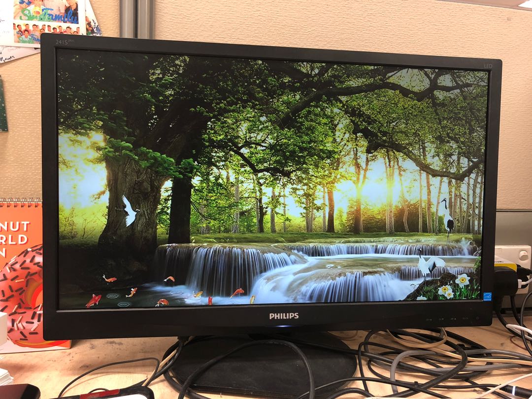 Philips 24 Inch LCD Monitor, Computers & Tech, Parts & Accessories ...