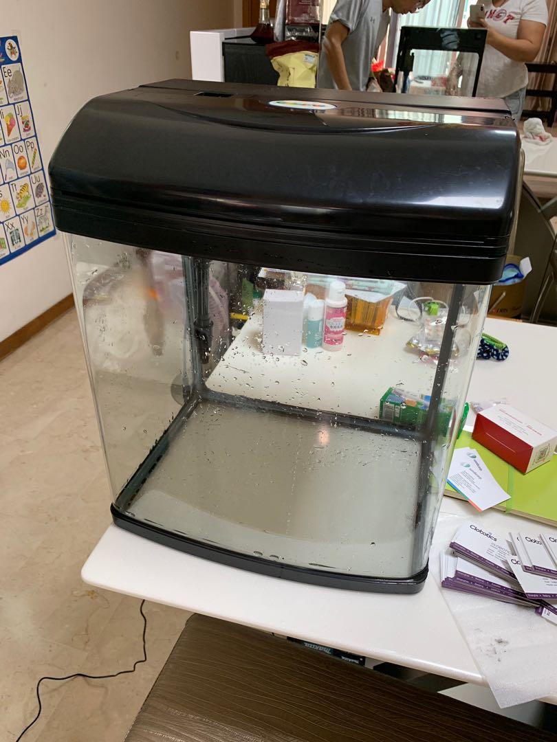 Tank on fire sales, Pet Supplies, Homes & Other Pet Accessories on ...