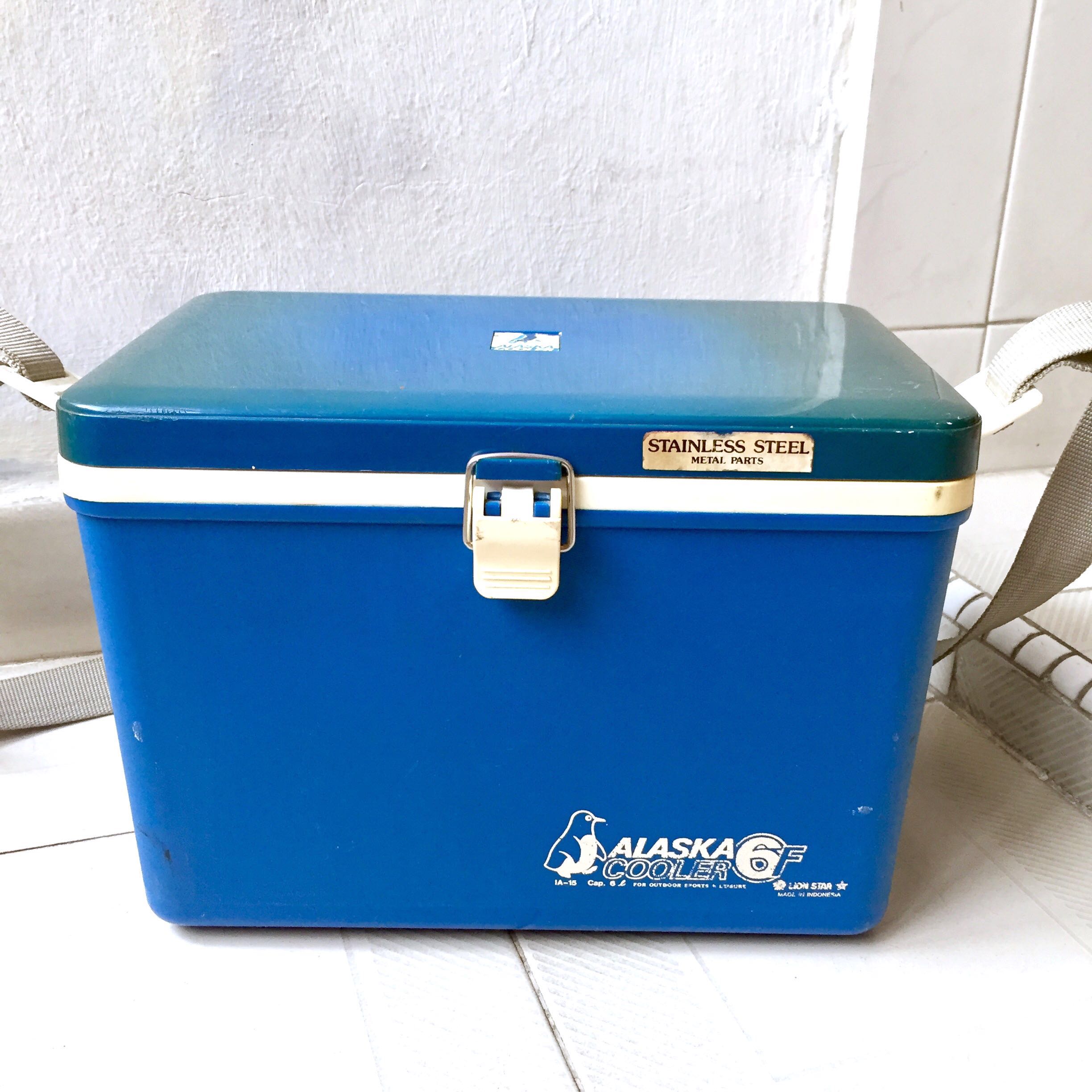 Alaska Cooler Box With Strap, Furniture & Home Living, Kitchenware ...
