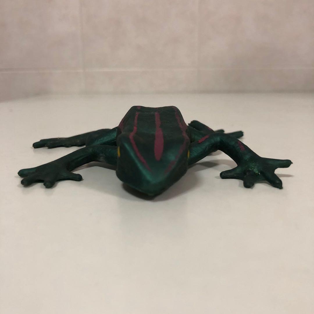 Rubber Frog Toy, Hobbies & Toys, Toys & Games on Carousell